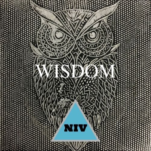 Wisdom - There's A Scripture for That (NIV) Version - Pathway365