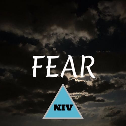 Fear - There's A Scripture for That (NIV) Version - Pathway365