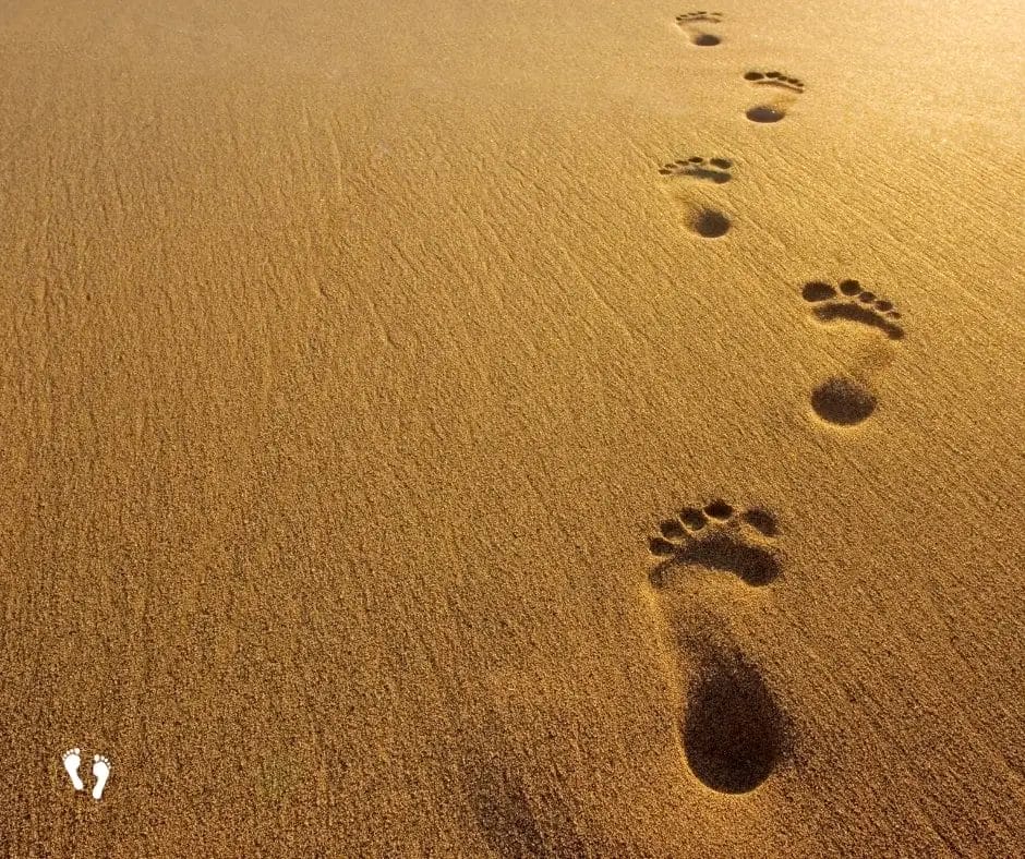 Following Jesus All the Way Home - Steps Towards Eternity Daily ...